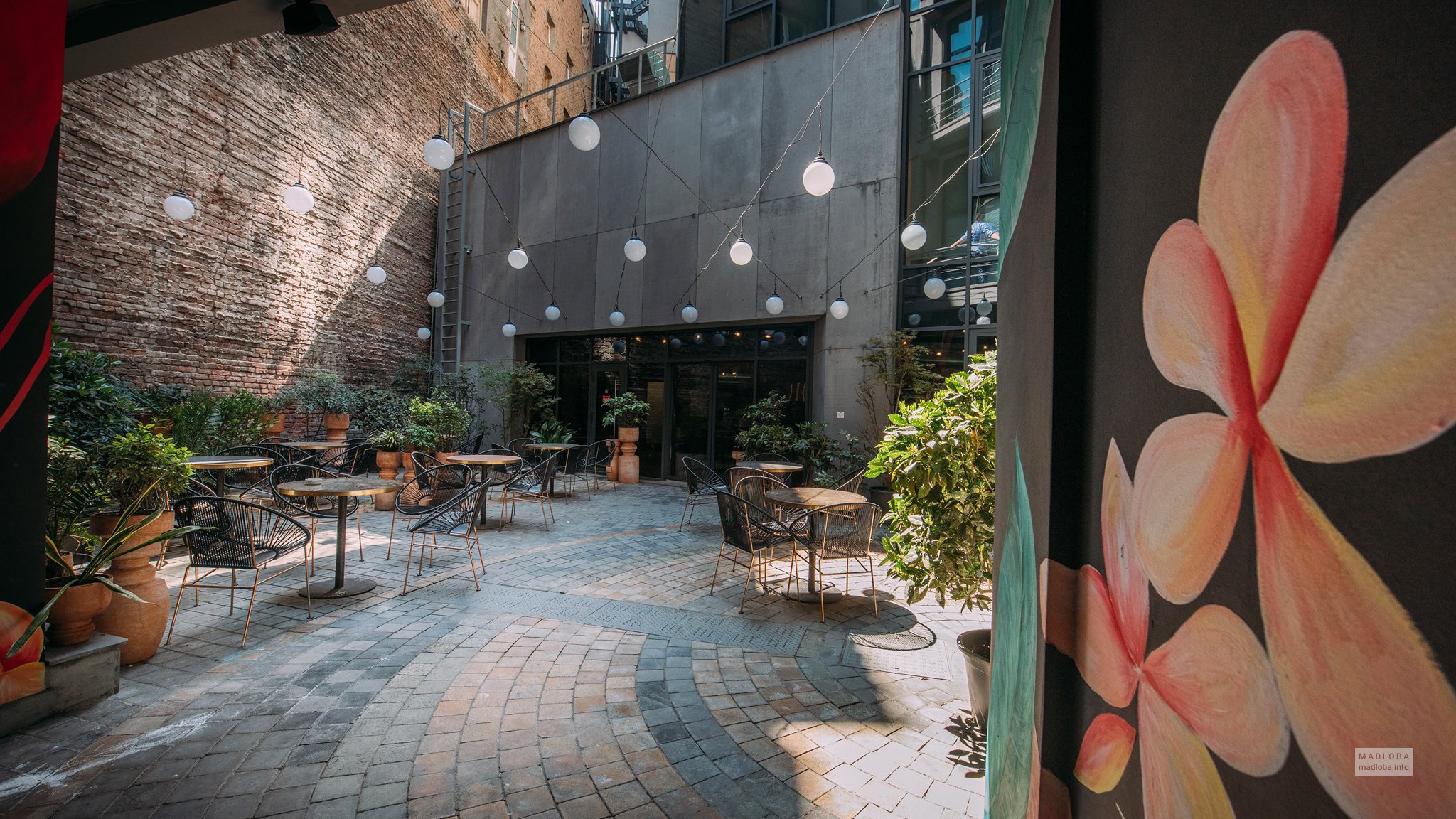 Gala cafe and bar in Tbilisi on Marjanishvili Kote st 8, will delight ...