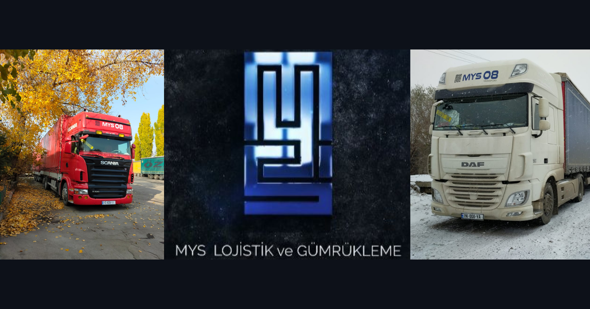Logistics company "MYS LOGİSTİCS GÜMRÜKLEME HOPA-BATUMİ": Your reliable ...