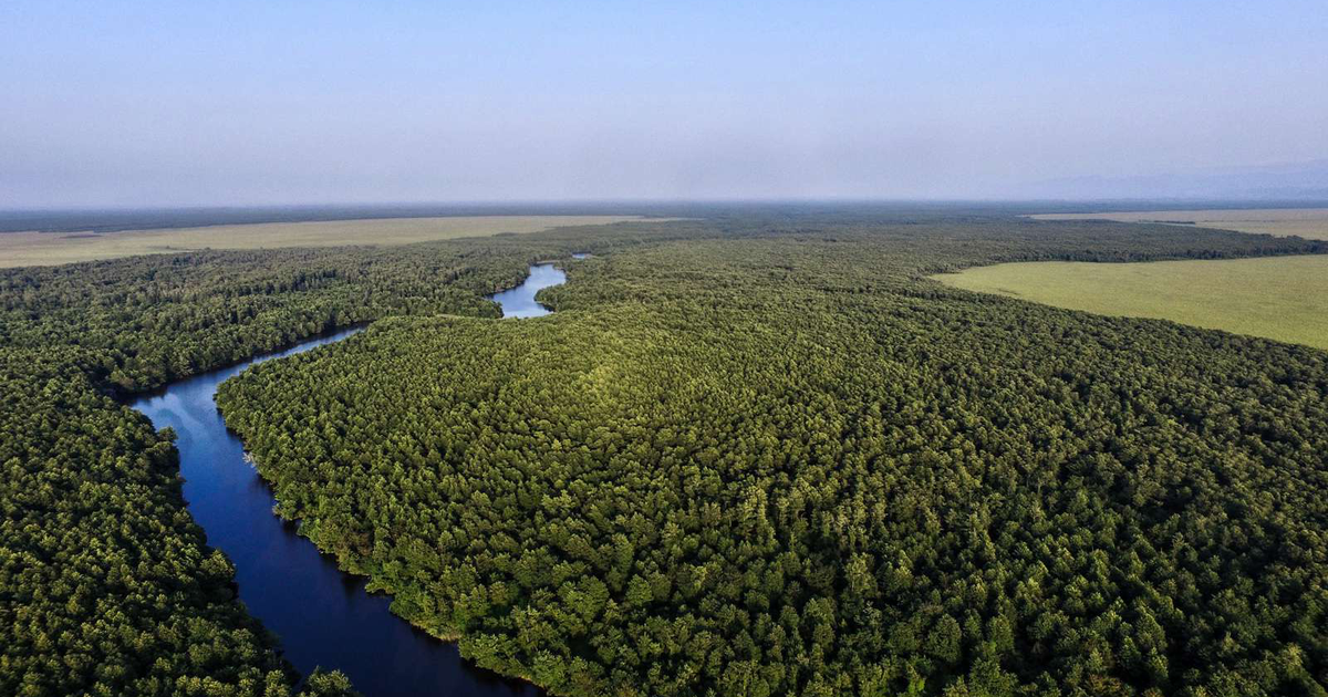 Kolkheti National Park, Guria, Georgia. Discover the magic of Colchis ...