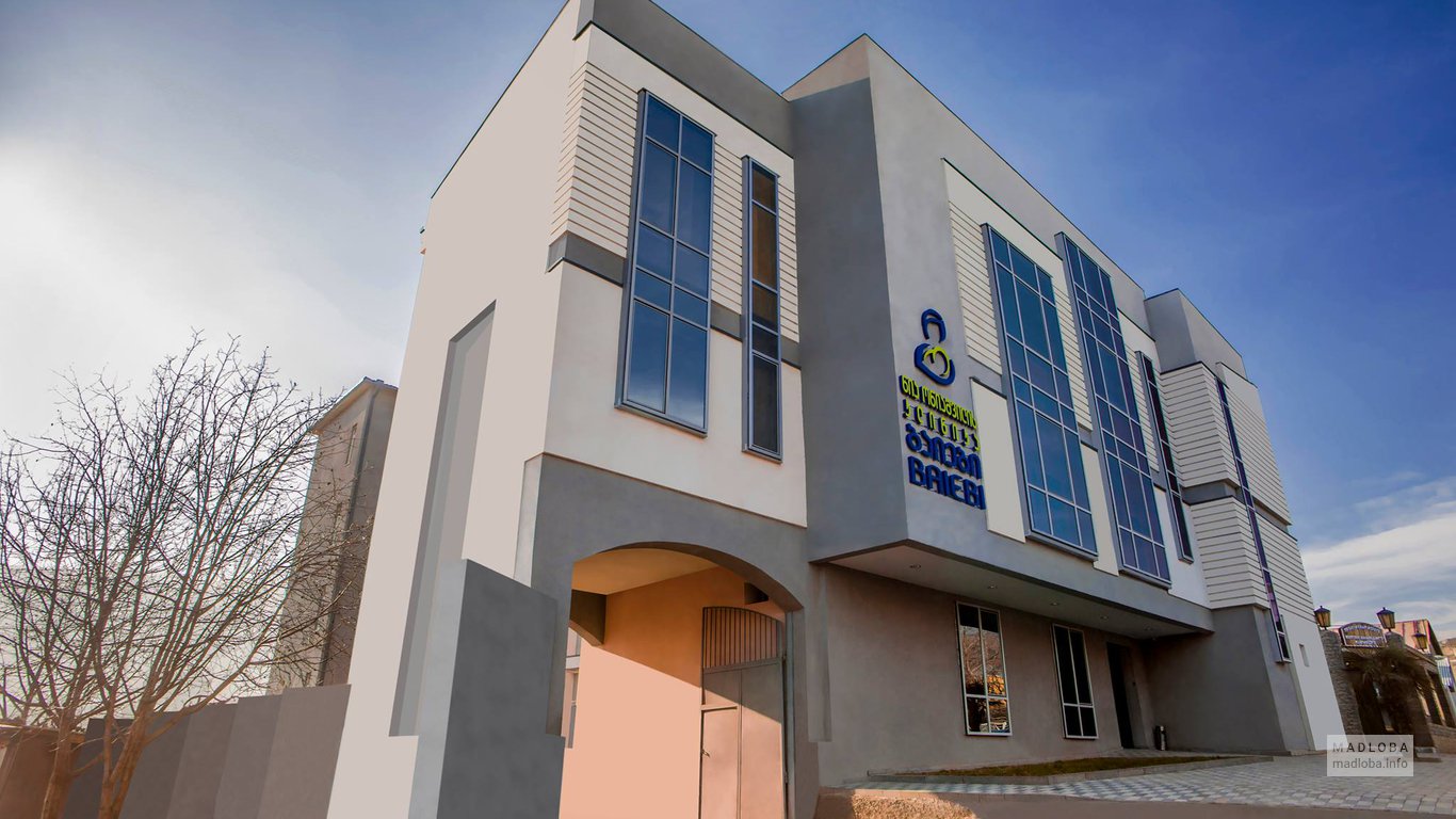 Give birth in a private maternity hospital in the Nia Oniashvili Clinic ...