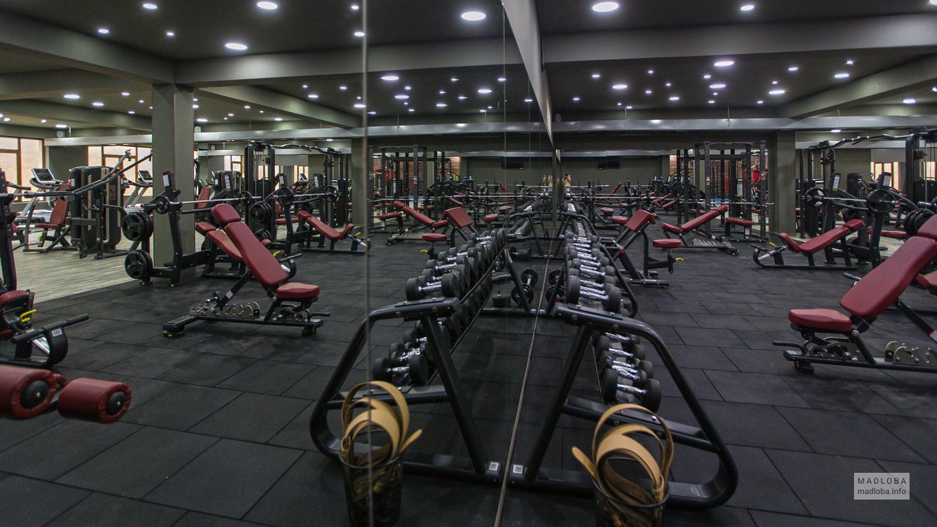 Modern sports sections at MG Fitness in Tbilisi, zumba, crossfit ...