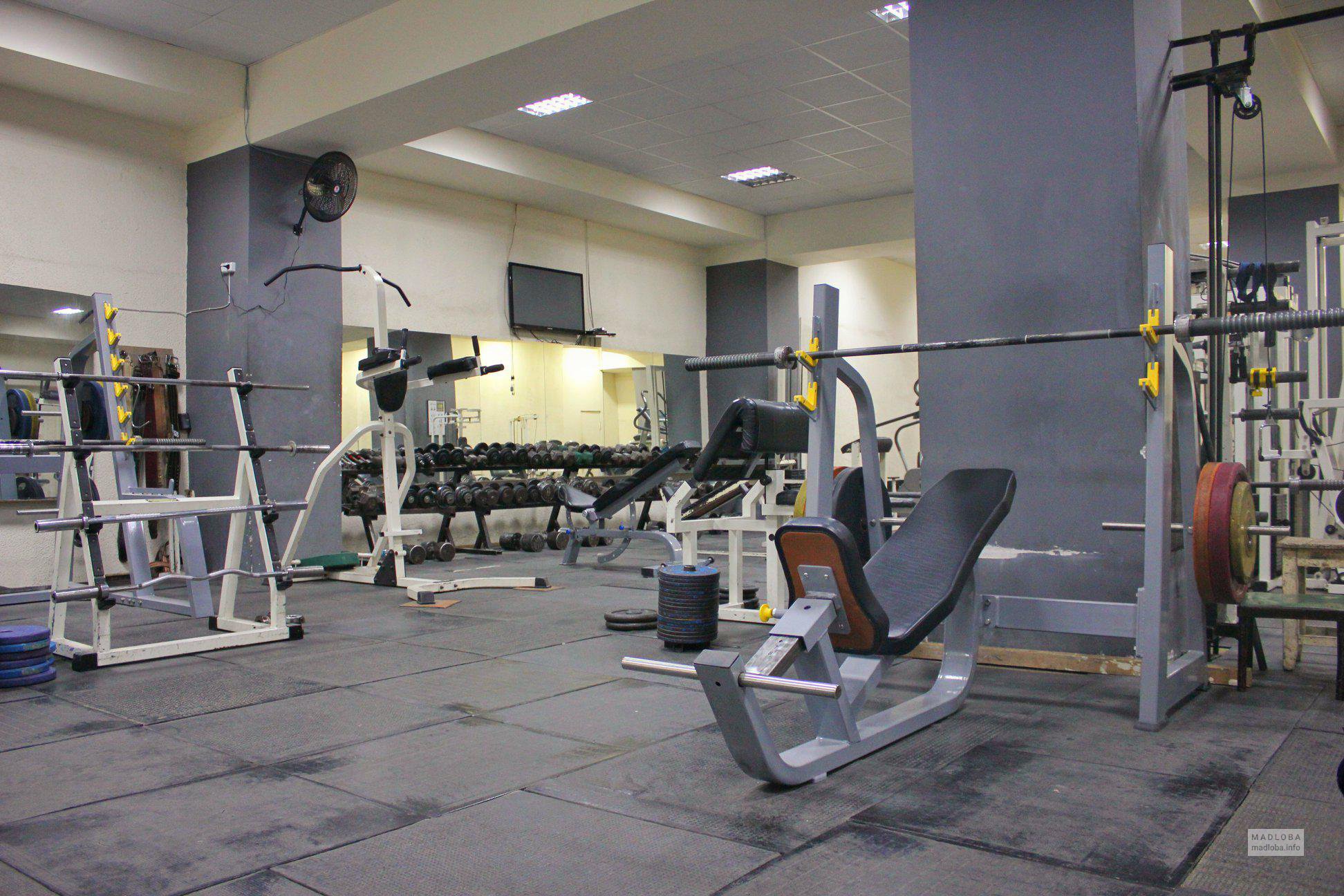 Bodybuilding at the Old school gym fitness club in Tbilisi, individual ...