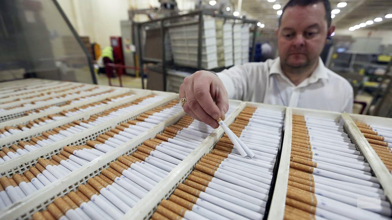 თამბაქო 2019 - Мадлоба