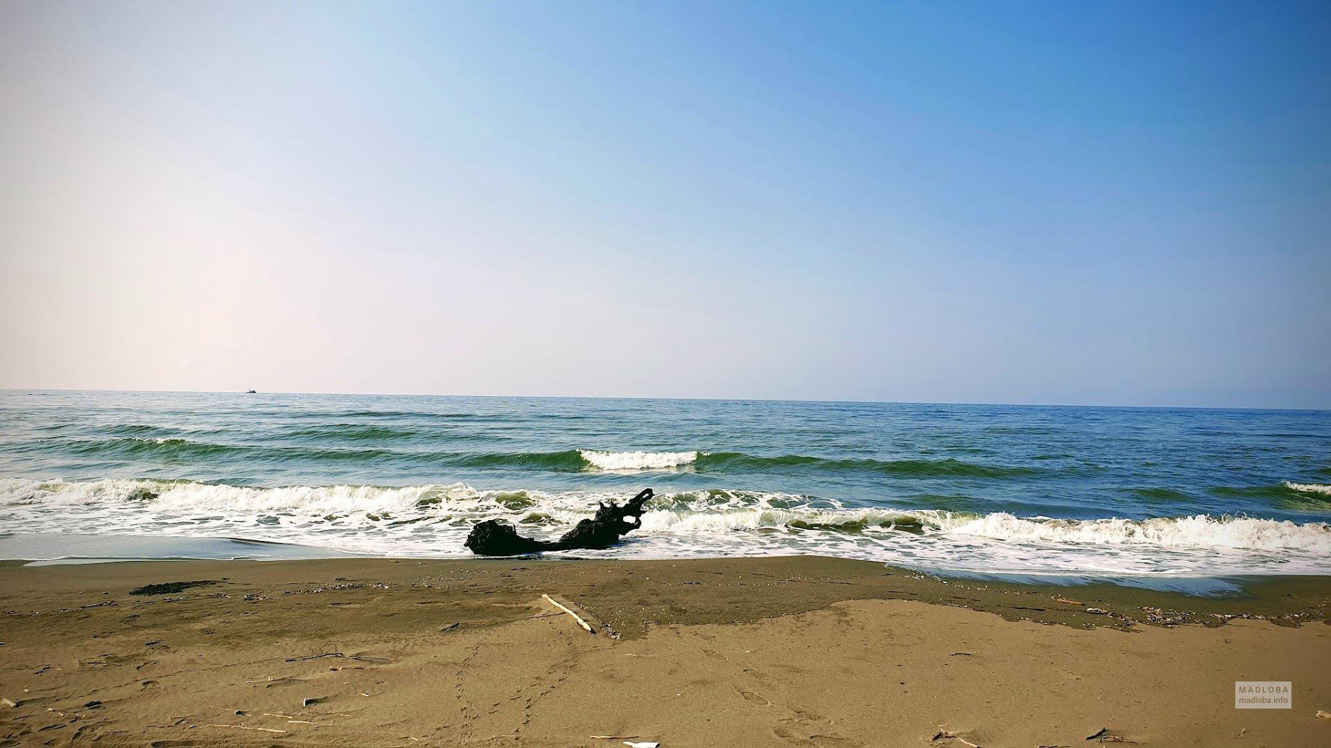 Центральный пляж курорта Поти, фото, отзывы - Мадлоба