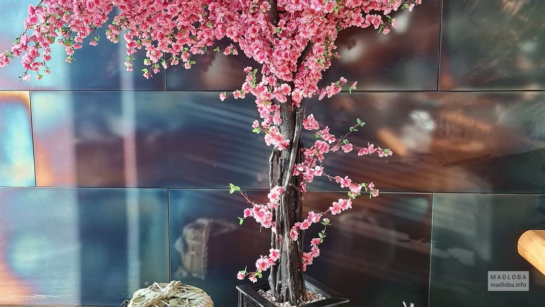 Umami Asian Restaurant in Tbilisi - Мадлоба